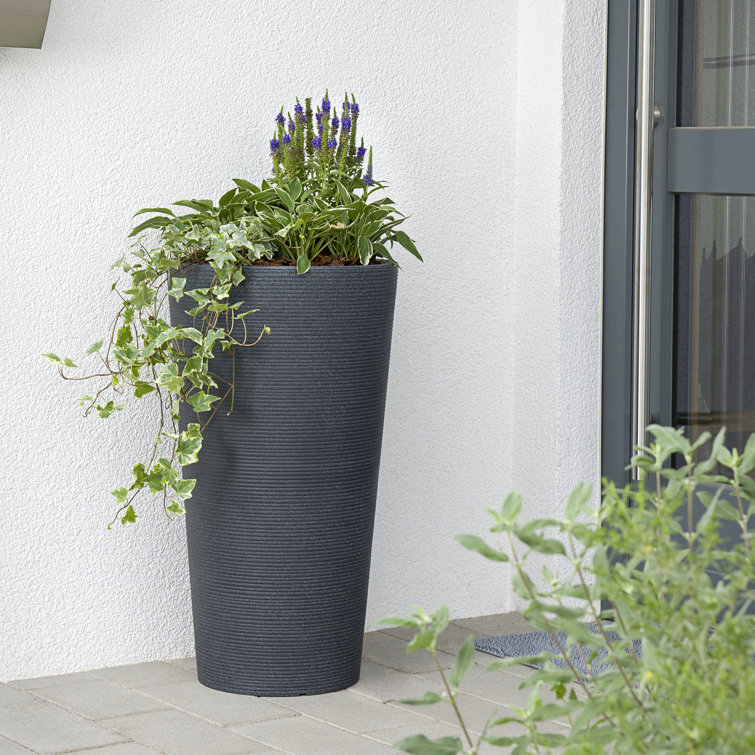 ScheurichGmbH Coneo High Plastic Flower Pot | Wayfair.co.uk
